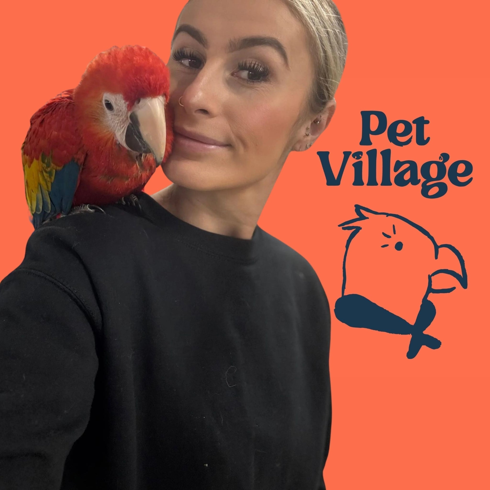 Ambers Top 5 Parrot Picks: March 2025 – Our Pet Village