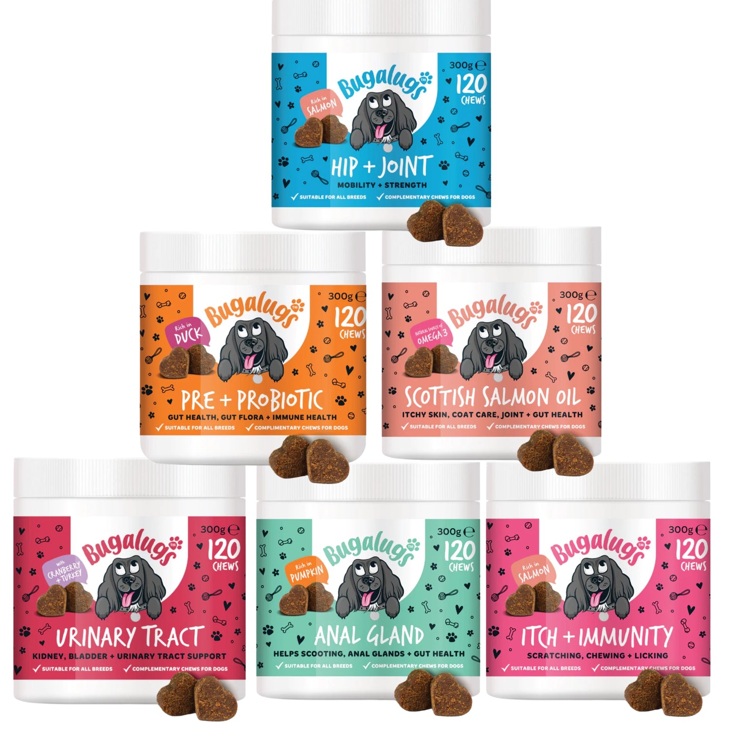 Pet Village | Where Pets Rule - Quality Pet Supplies – Our Pet Village