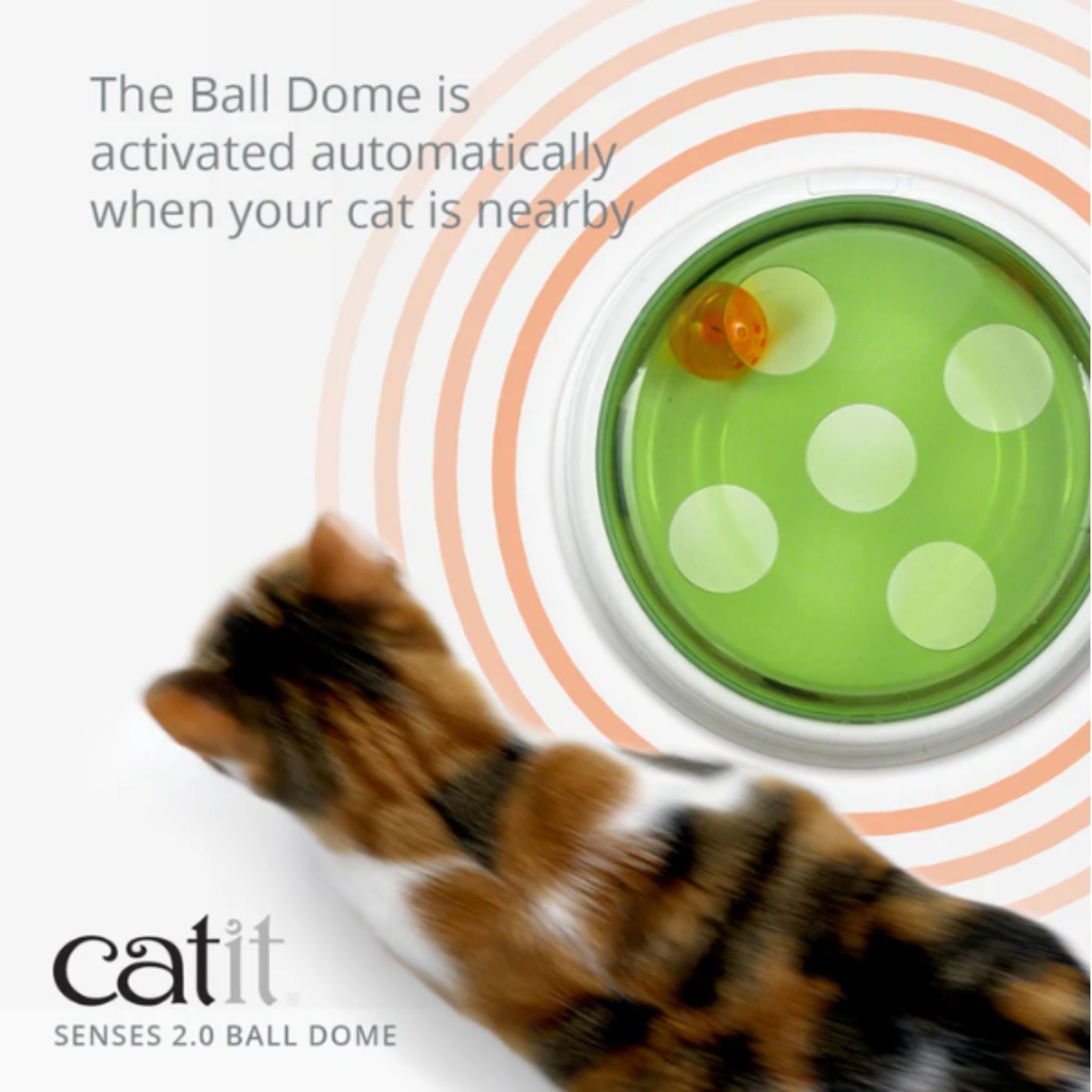 Catit Senses Ball Dome – Interactive Cat Toy for Mental Stimulation ...