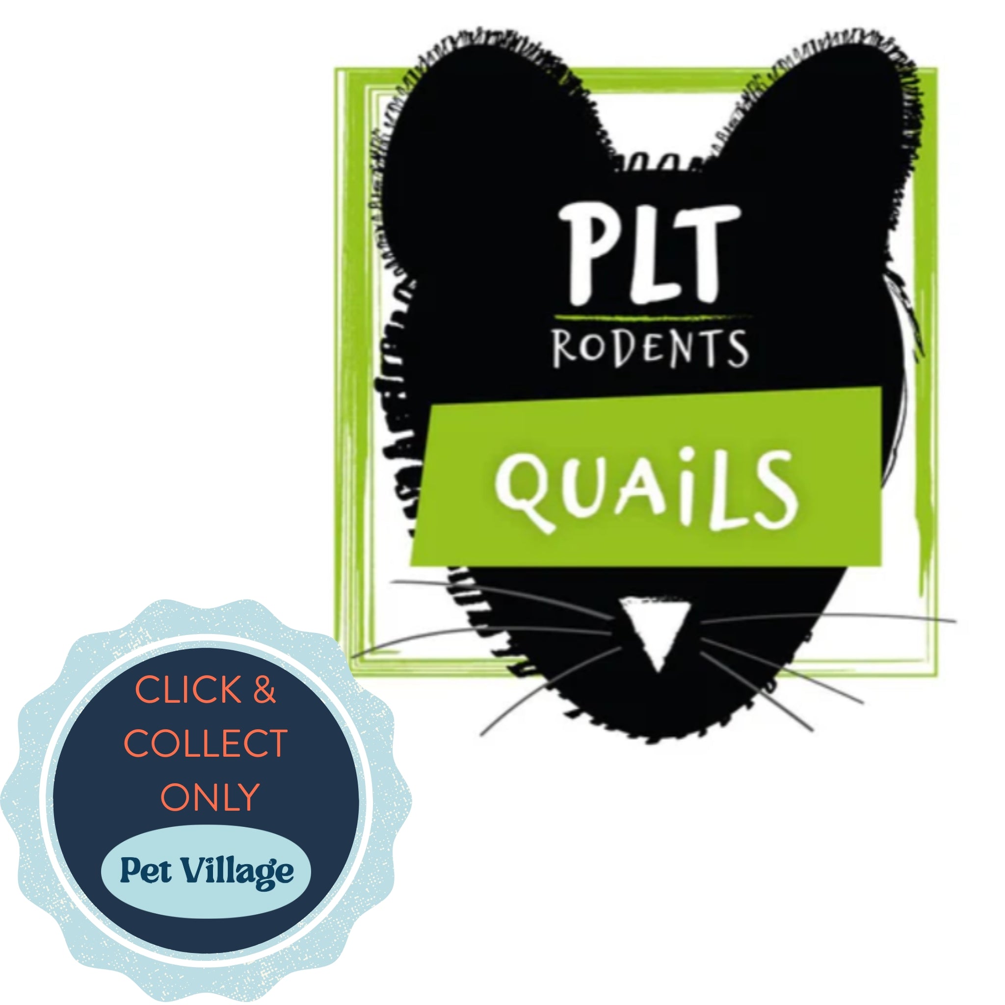 Frozen Quail 100g+ – Whole Prey for Reptiles & Birds of Prey – Our Pet ...